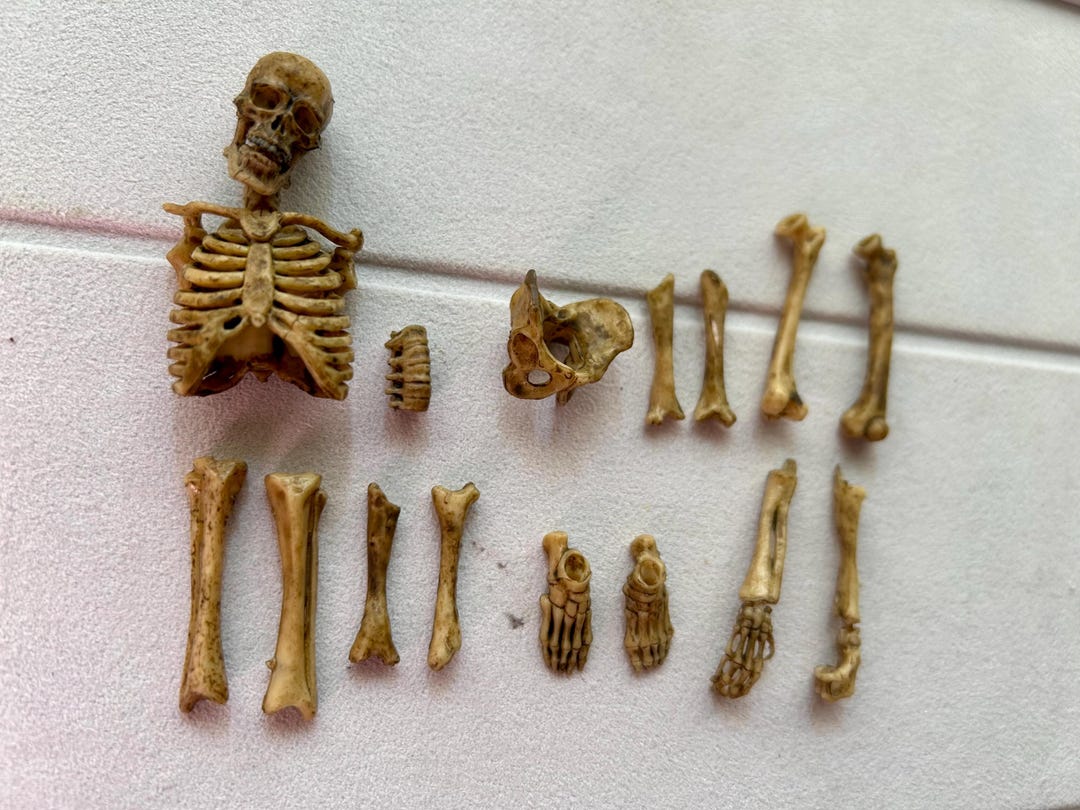 Mini Bone Set- Skull Figure - Big Pile of Bones 12th Scale - Miniature ...