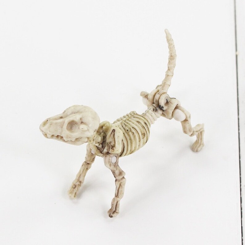 Skeleton Action Figures Skeleton Dog Skeleton Child - Etsy