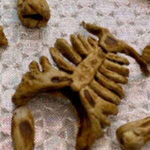 Mini Skulls - Mini Bone - Skull Figure - Big Pile of Bones 12th Scale ...