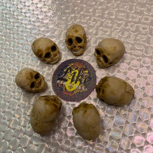 Mini Skulls Mini Bone Skull Figure Big Pile of Bones - Etsy