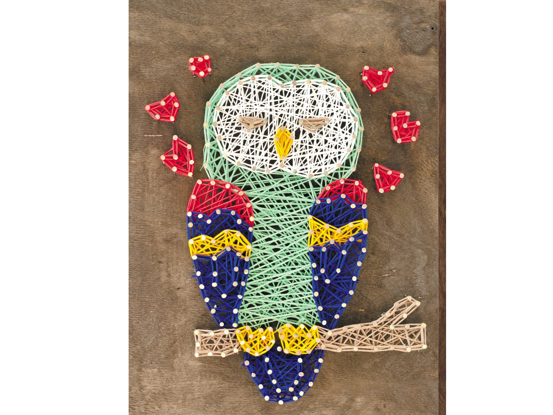 Owl String Art Kit DIY Home Decor Wall Hanging | Etsy