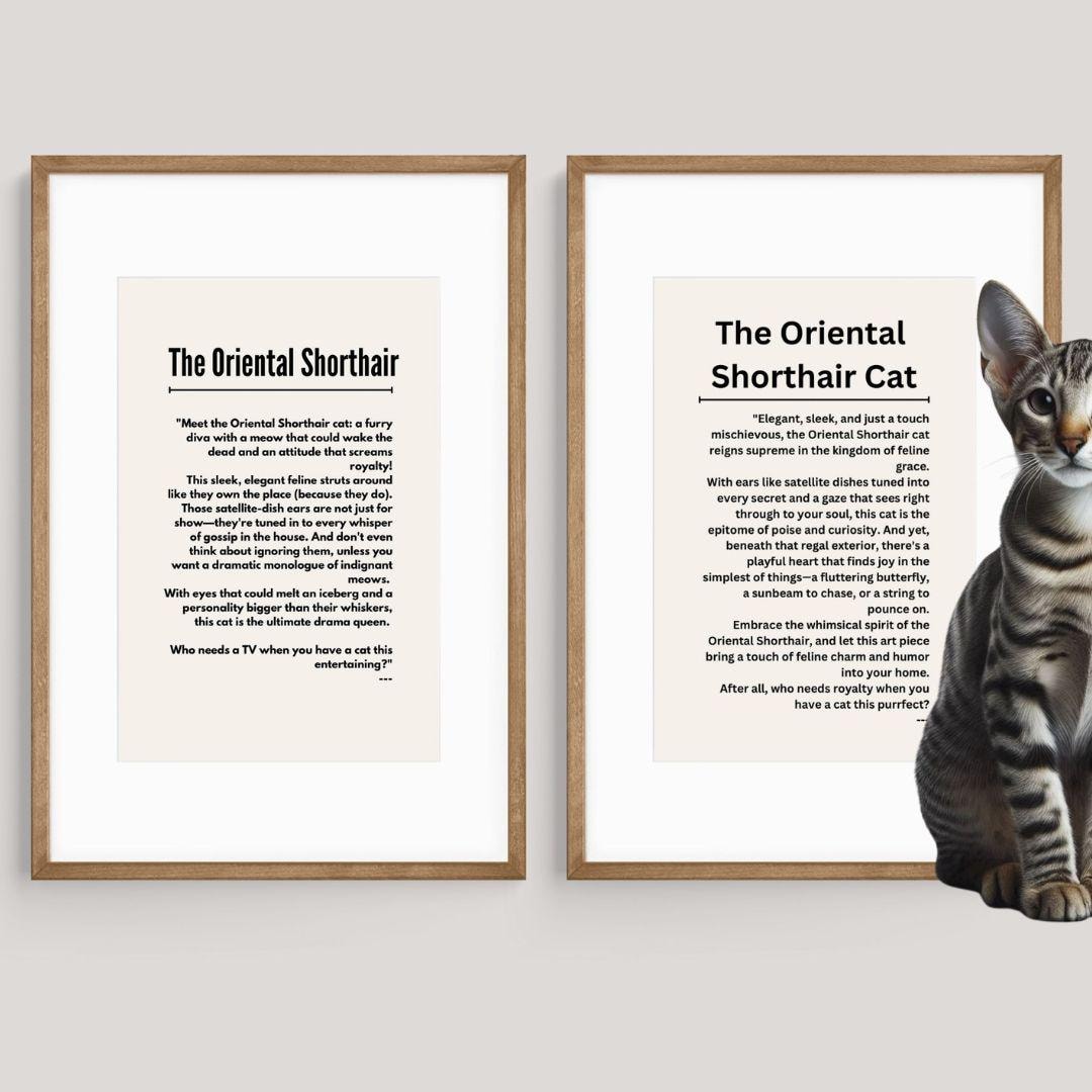 Cat Definition Print, Digital Download for Cat Lovers Printable Wall ...