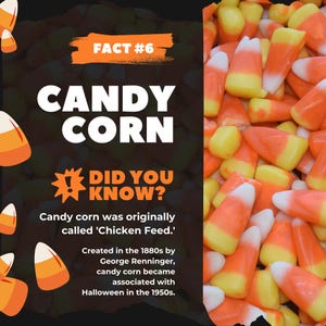 Halloween Social Media Bundle, 20 Spooky Templates for Engaging Posts ...