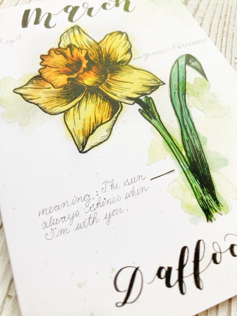 March Daffodil Birth Flower Botanical Card - Etsy