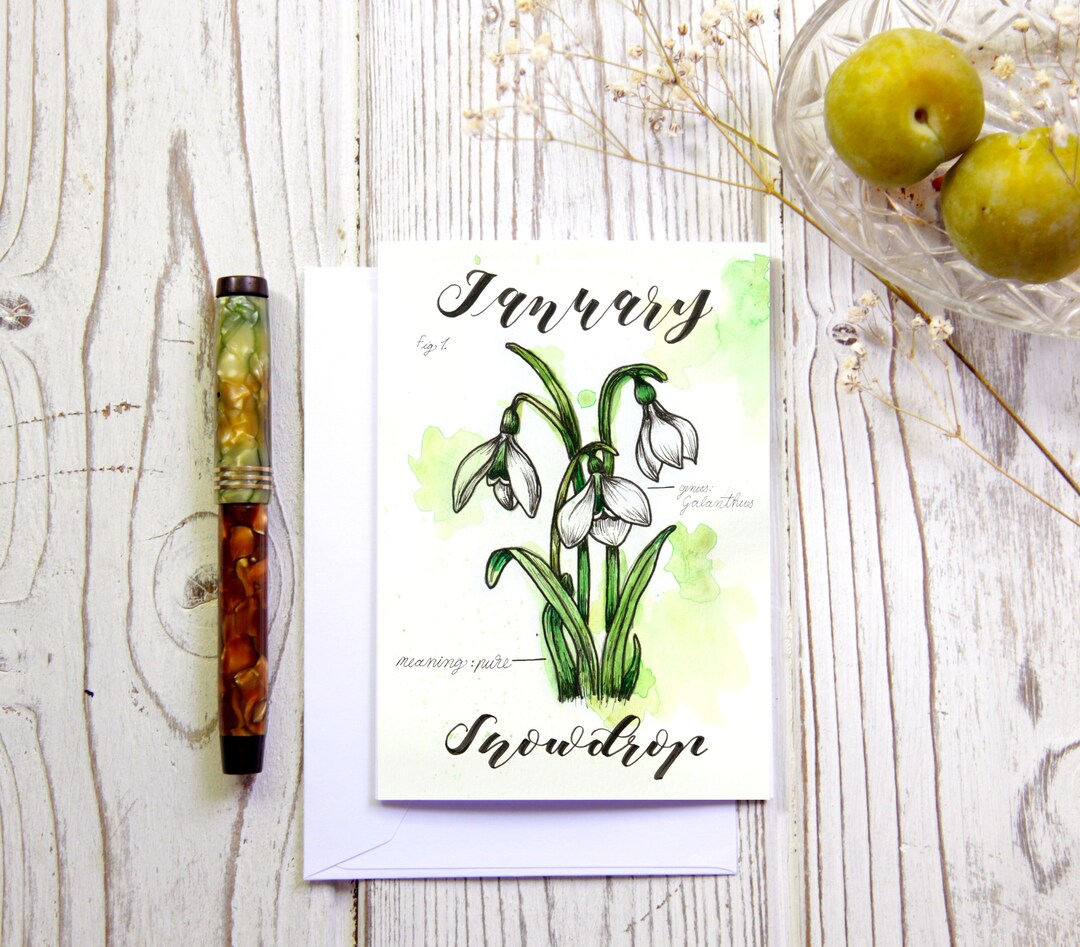 January Snowdrop Birth Flower Botanical Card - Etsy