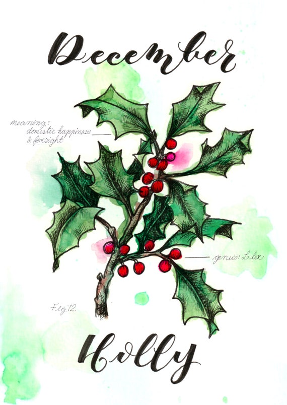 Holly Flower Meaning