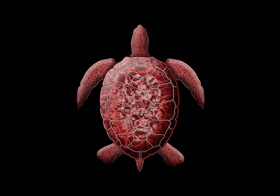 Red Turtle PNG, Sea Turtle Instant Download, Sea Turtle Design - Etsy