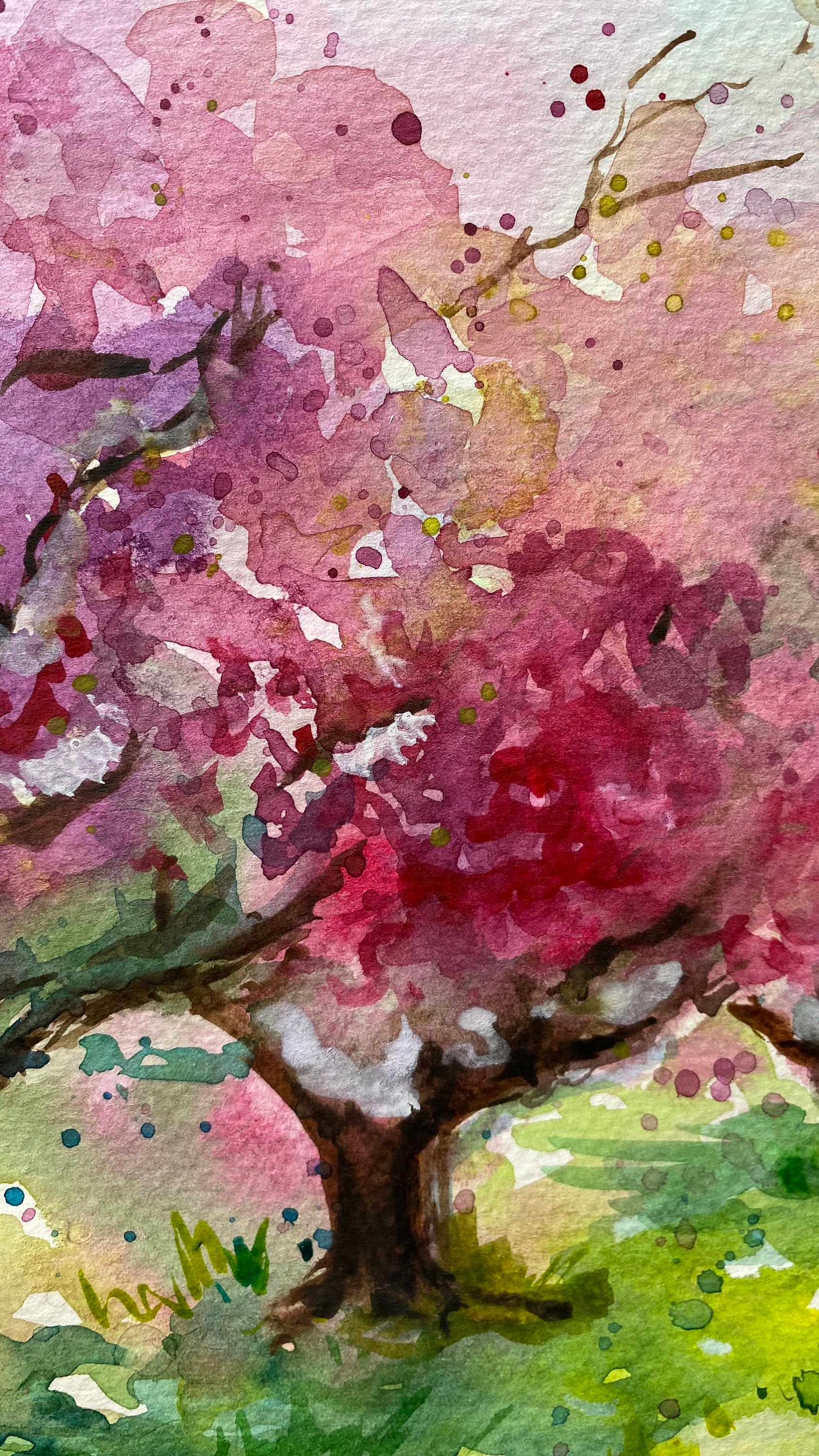 Blossom Trees Original Watercolor Painting Pink Flowers Spring Blossom ...