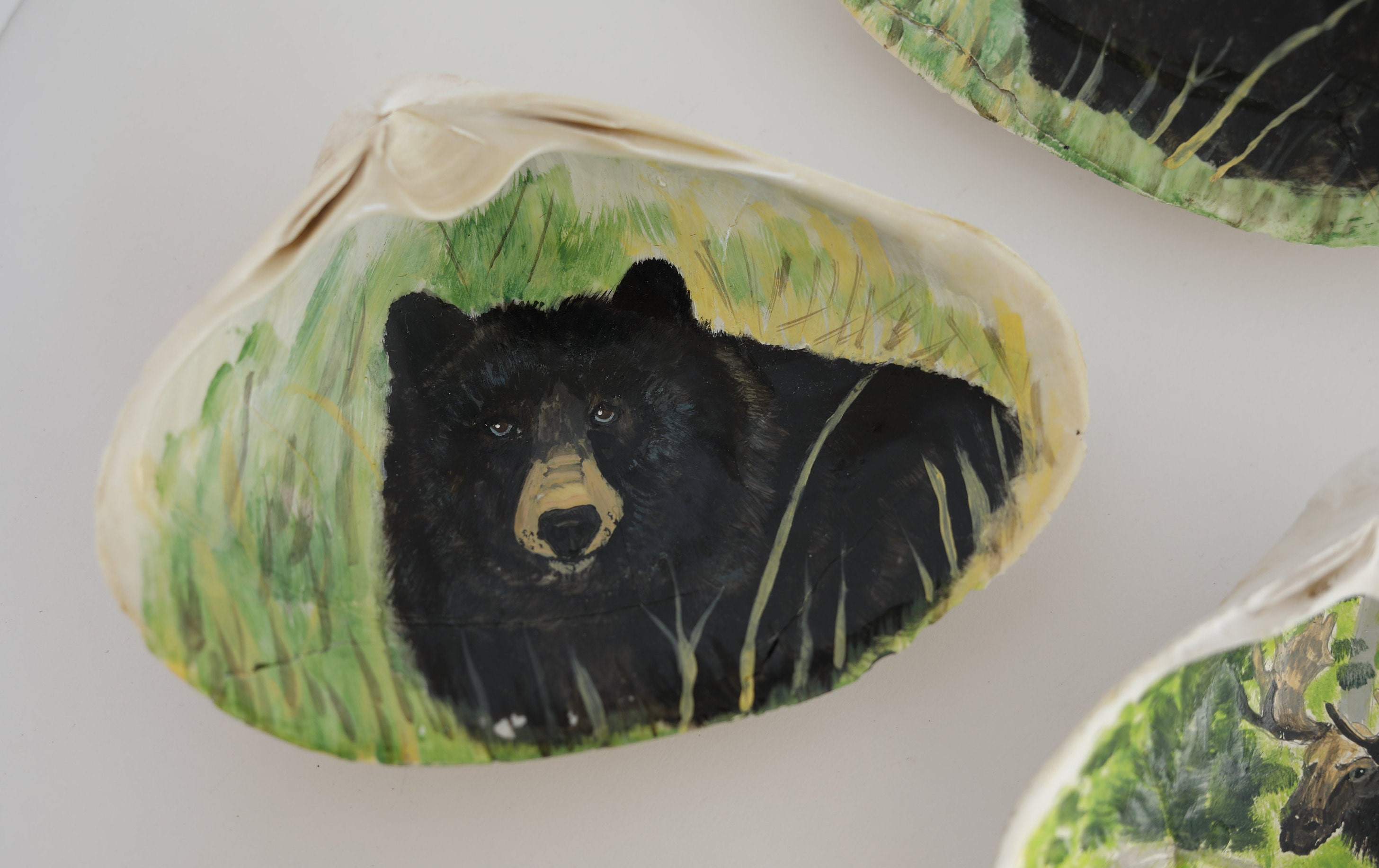 Maine Black Bear Hand-painted Wildlife Art in Acrylic on - Etsy