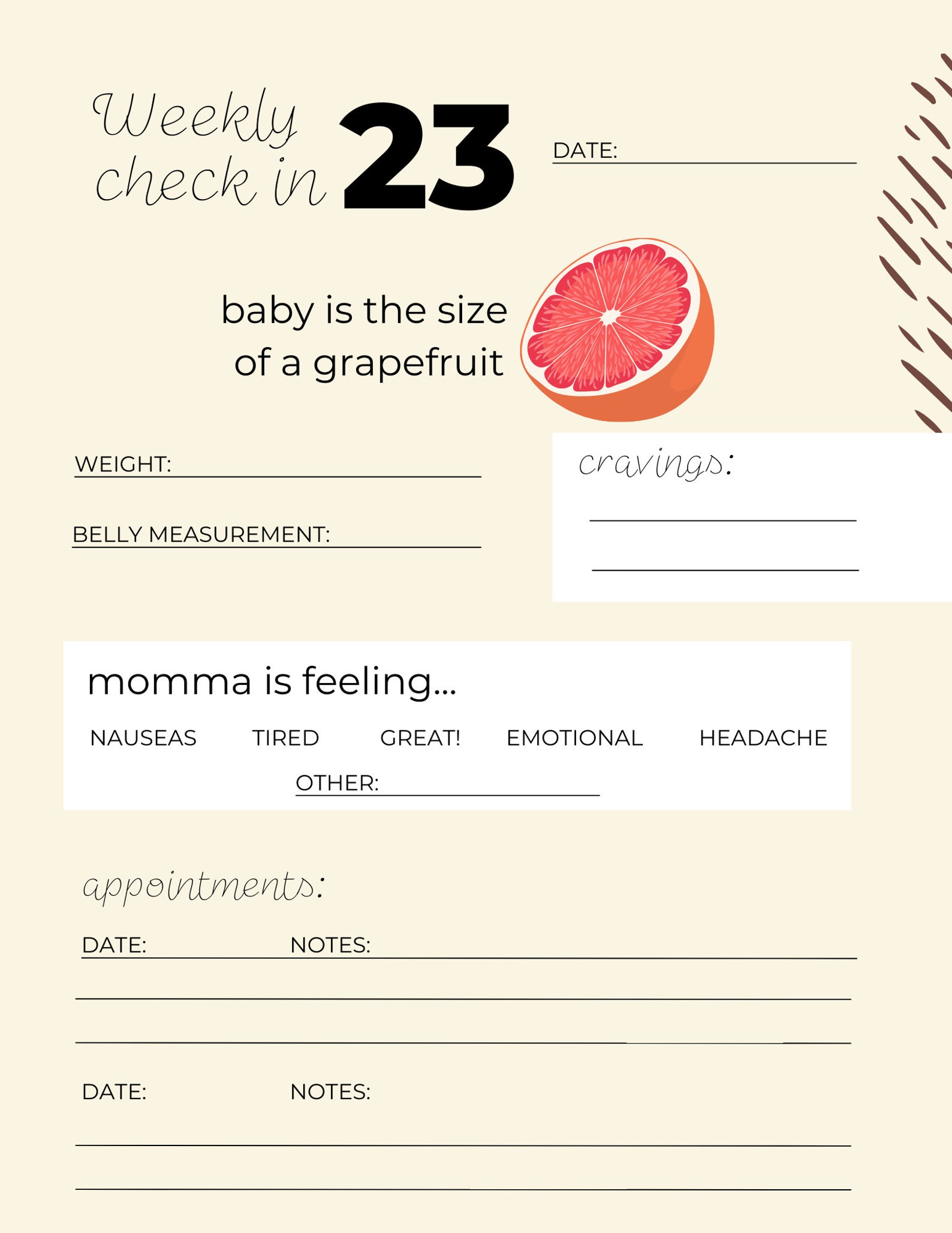 Birth Bundle Birth Plan Pregnancy Journal Canva Doula Template Hospital ...