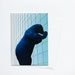 Big Blue Bear Postcard | Colorado Convention Center Notecard | Denver ...