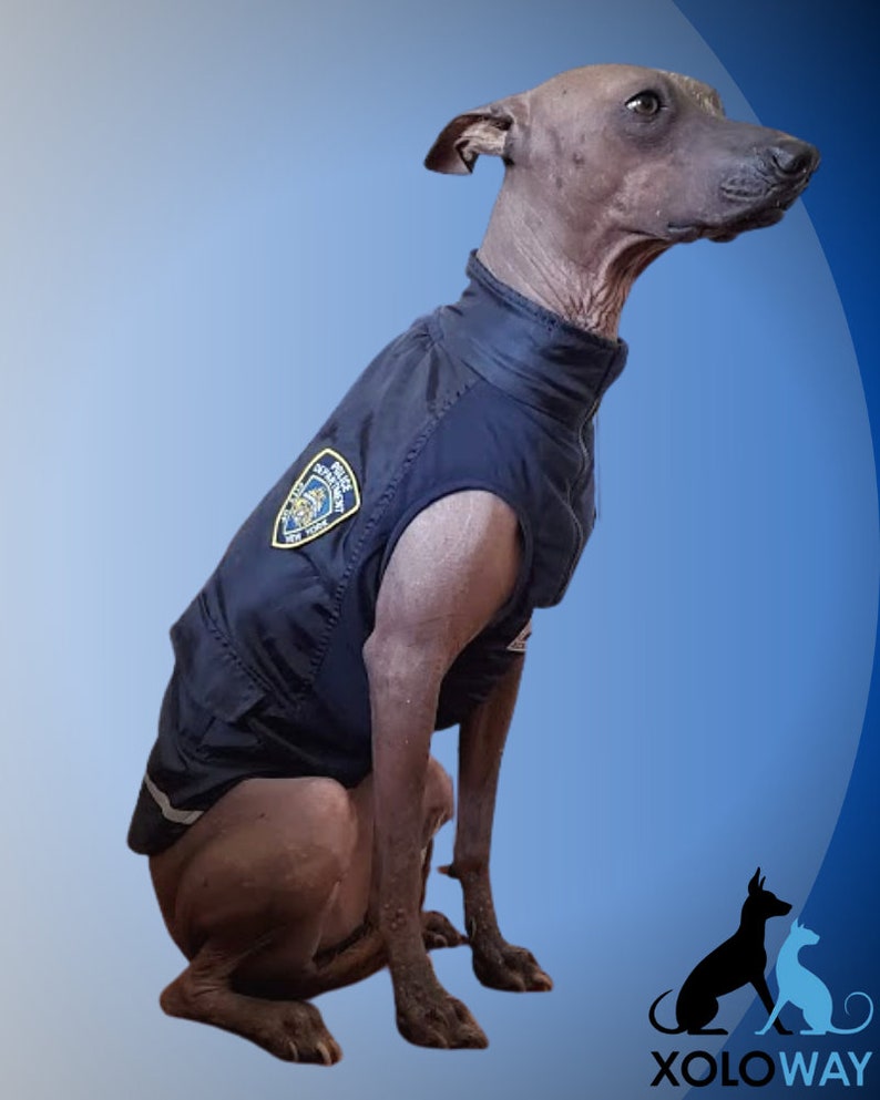 Navy Police Vest for Dog, Cool NYPD Jacket for Dogs,"sample Sale" Dog ...