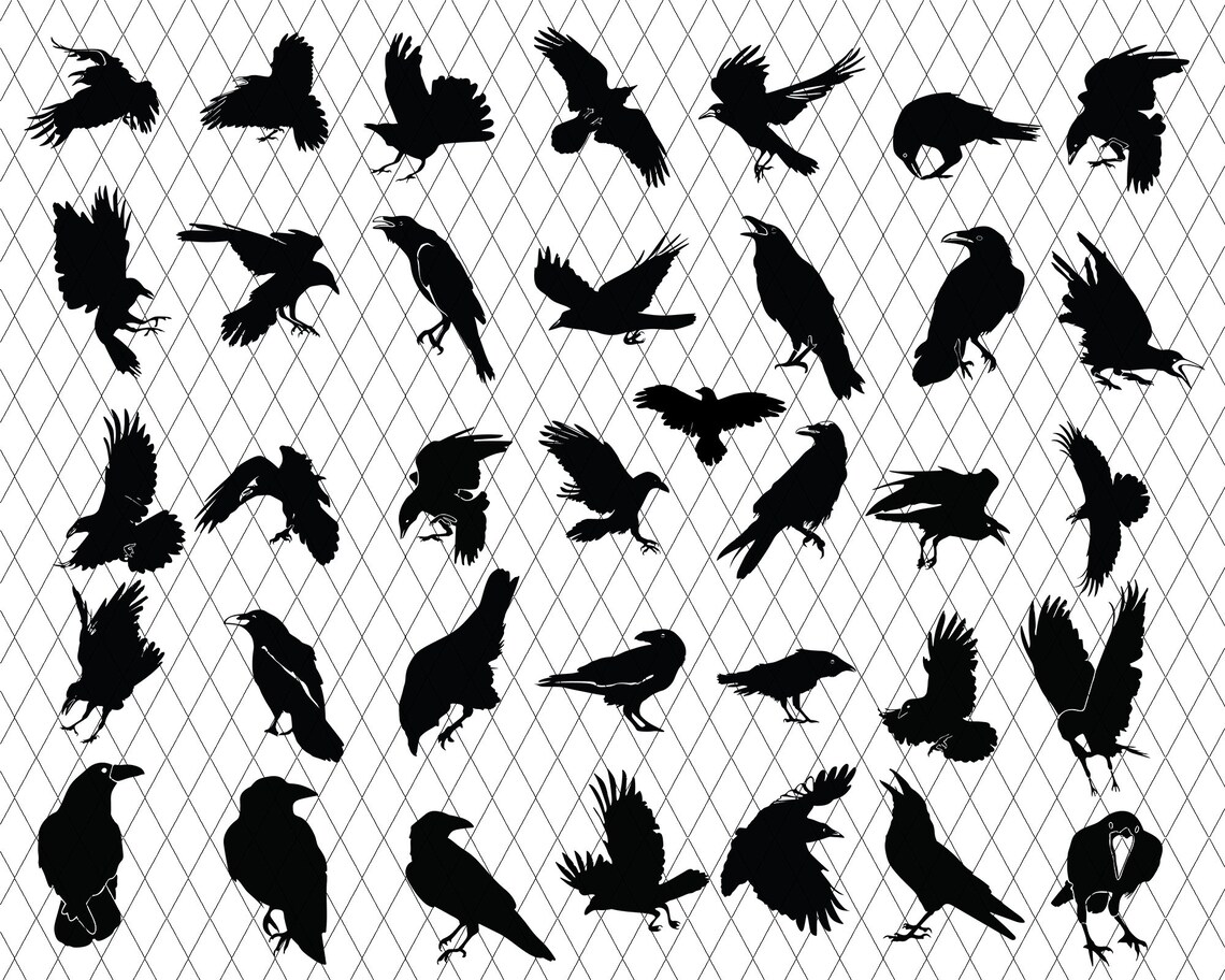 SVG Crow vector designs of crows Silhouette cricut | Etsy