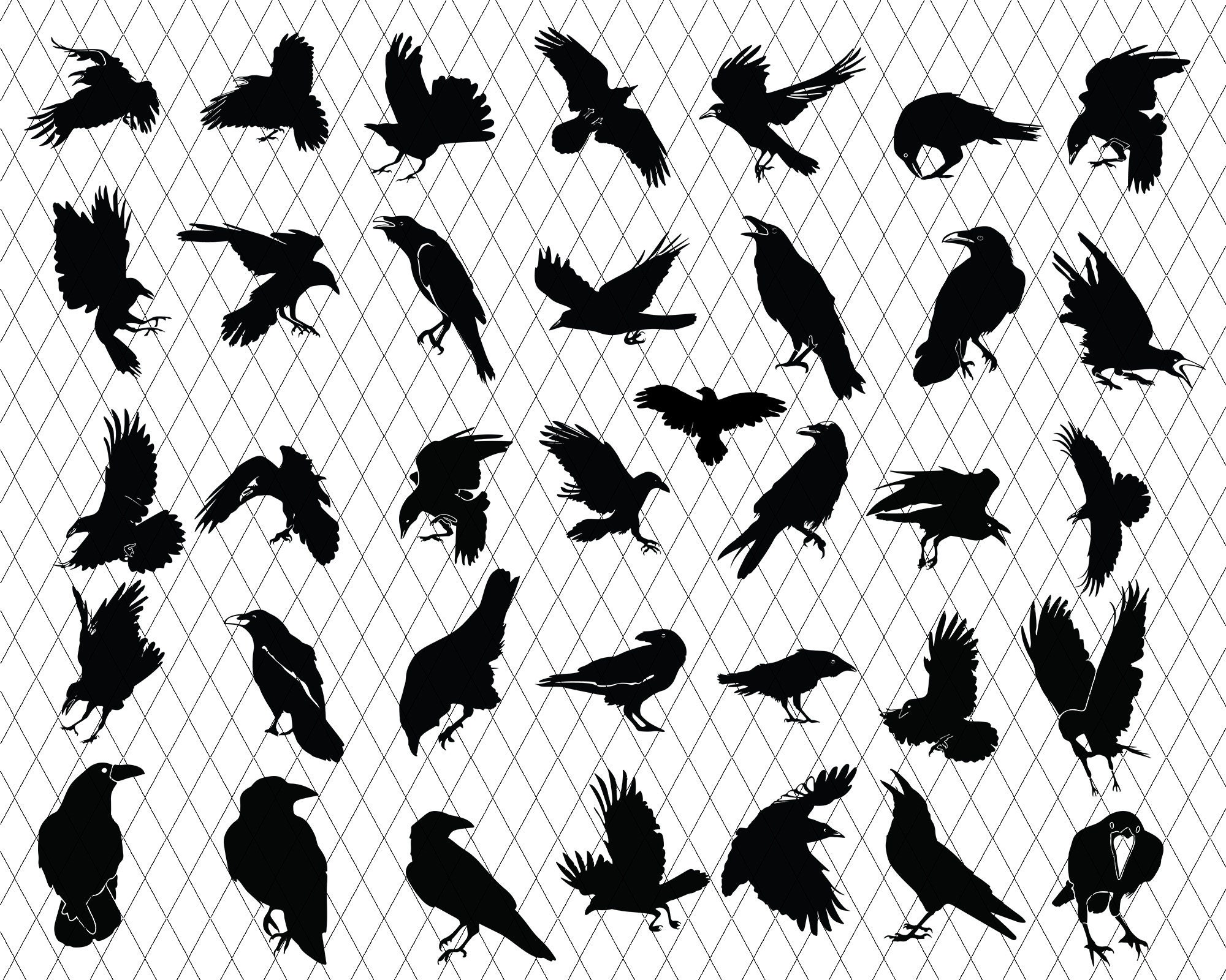 SVG Crow vector designs of crows Silhouette cricut | Etsy