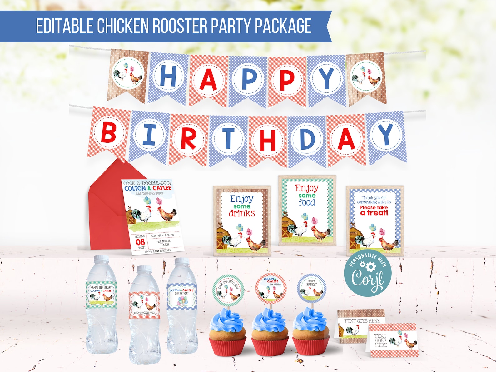 Chicken Rooster Birthday Party Decorations, Chicken Themed Twin Party ...