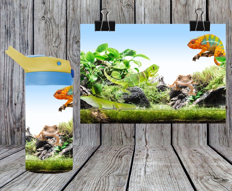 Kids Water Bottles Sublimation Design Lizard Gecko Lizards - Etsy
