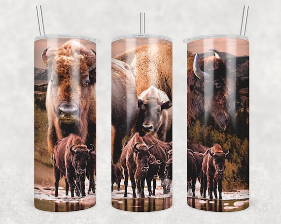 20 Oz Skinny Tumbler Buffalo Bison Mural Mountain Landscape - Etsy
