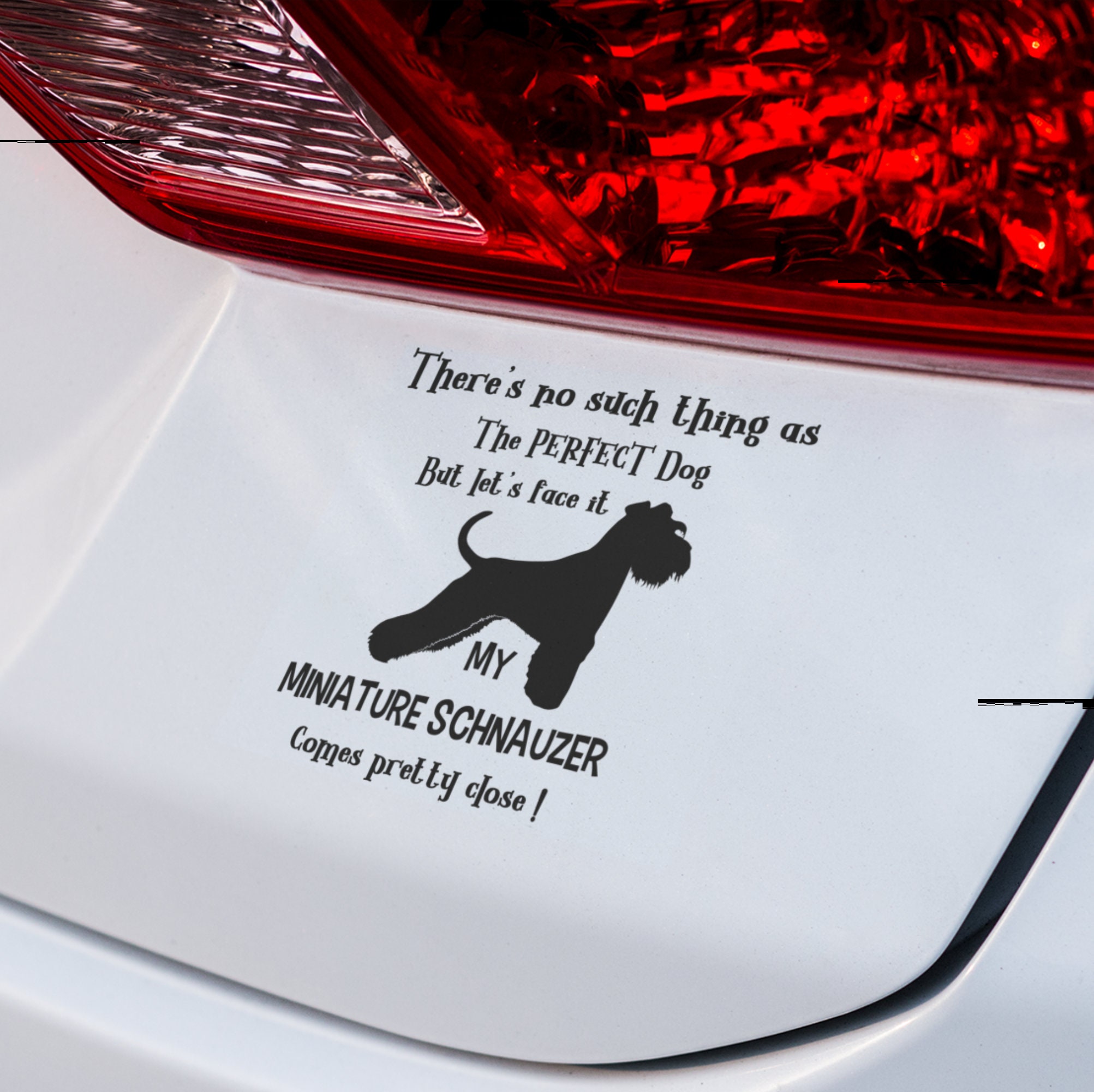 Miniature Schnauzer Fun Quote Svg Cutfile for Cricut - Etsy