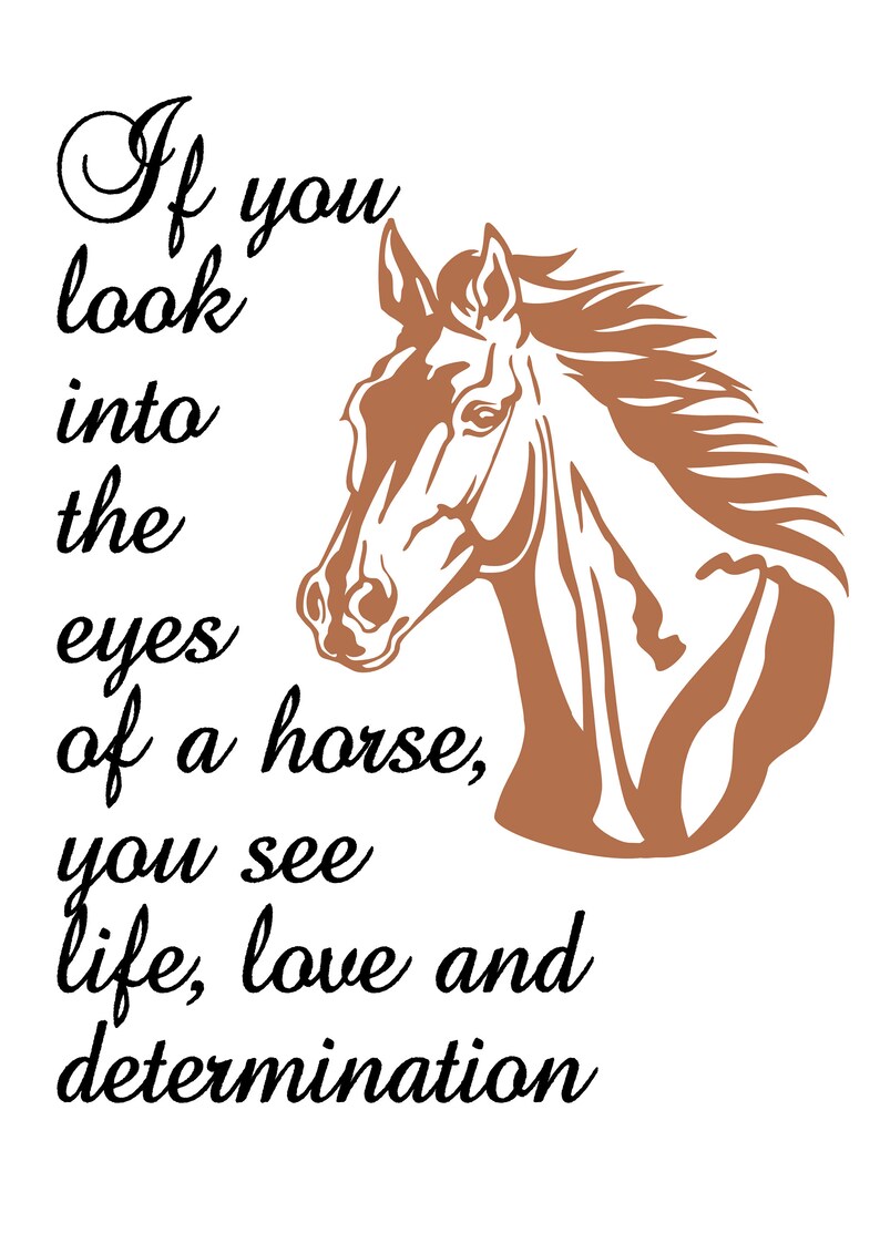 Look Into a Horses Eyes, Cut File SVG, DXF, PNG Image for Vinyl ...