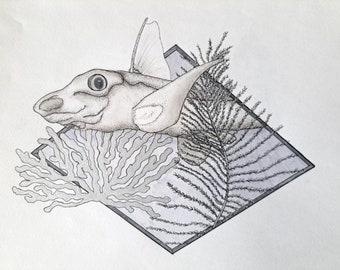 Ghost Shark Art - Etsy