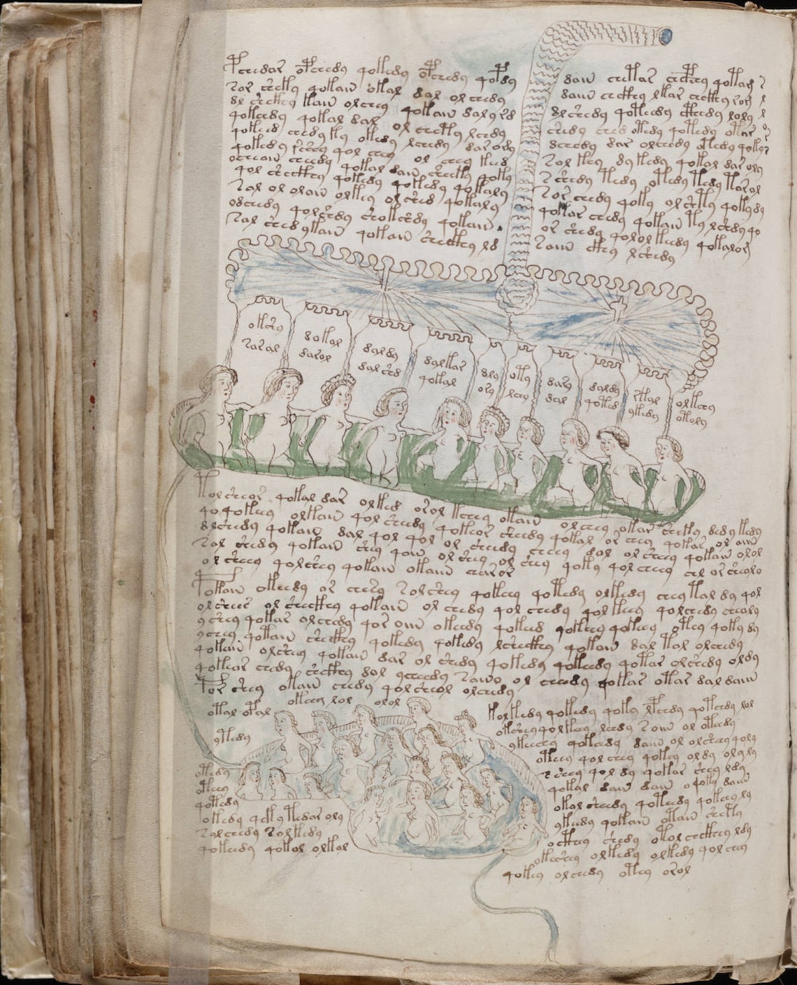 Voynich Manuscript. Mystery Book. Cipher Manuscript Medieval. Bizarre ...