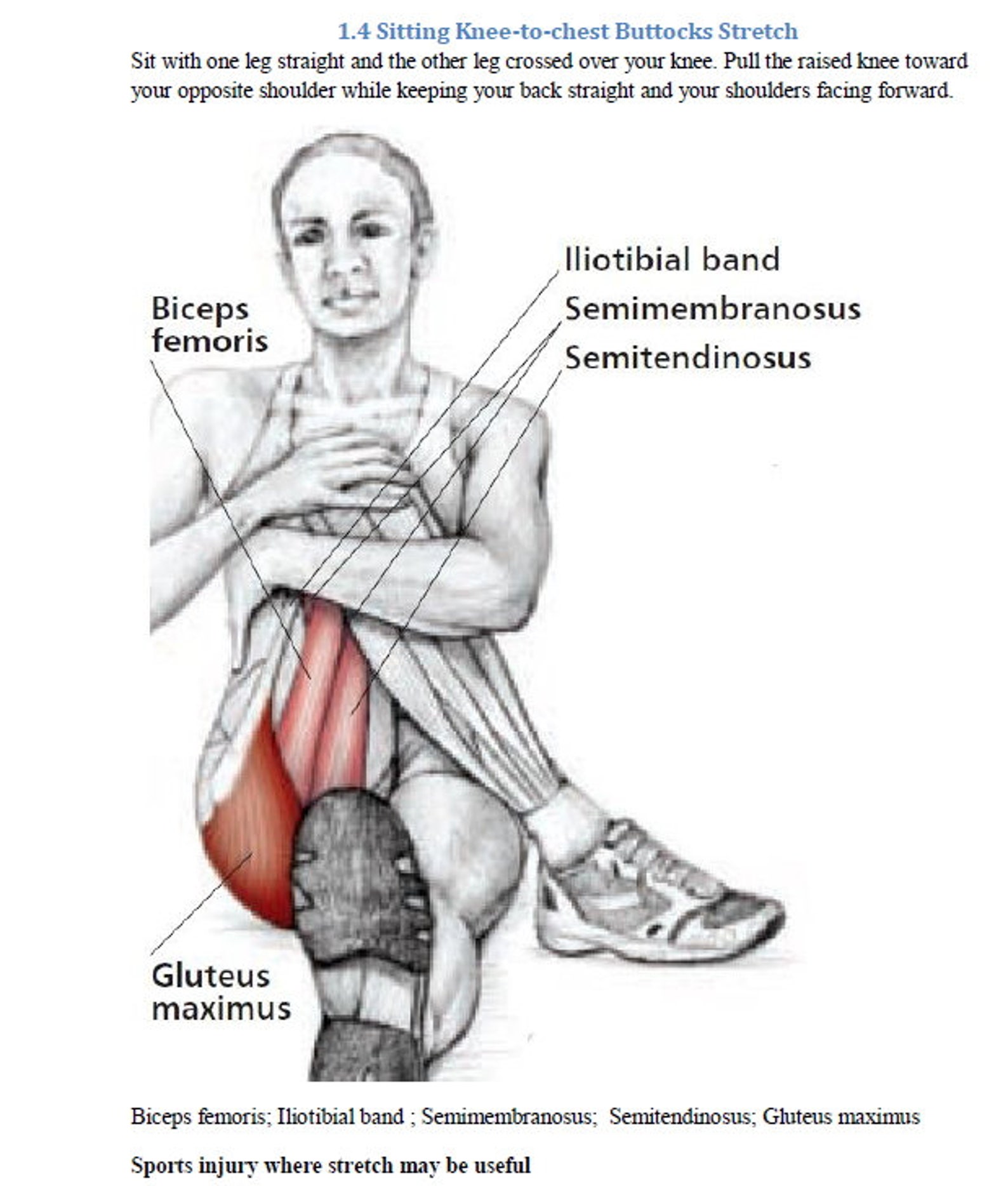 Stretching Exercises For Recovery From Injury Ebook Pdf Etsy stretching-exercises-for-recovery-from-injury-ebook-pdf-etsy