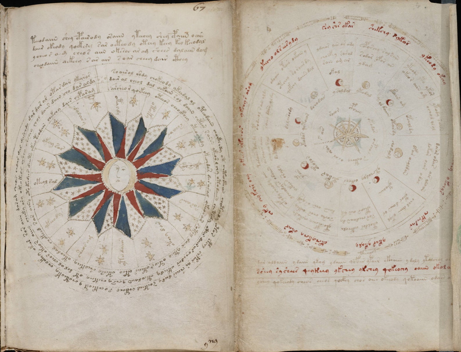 Voynich Manuscript. Mystery Book. Cipher Manuscript Medieval. Bizarre ...