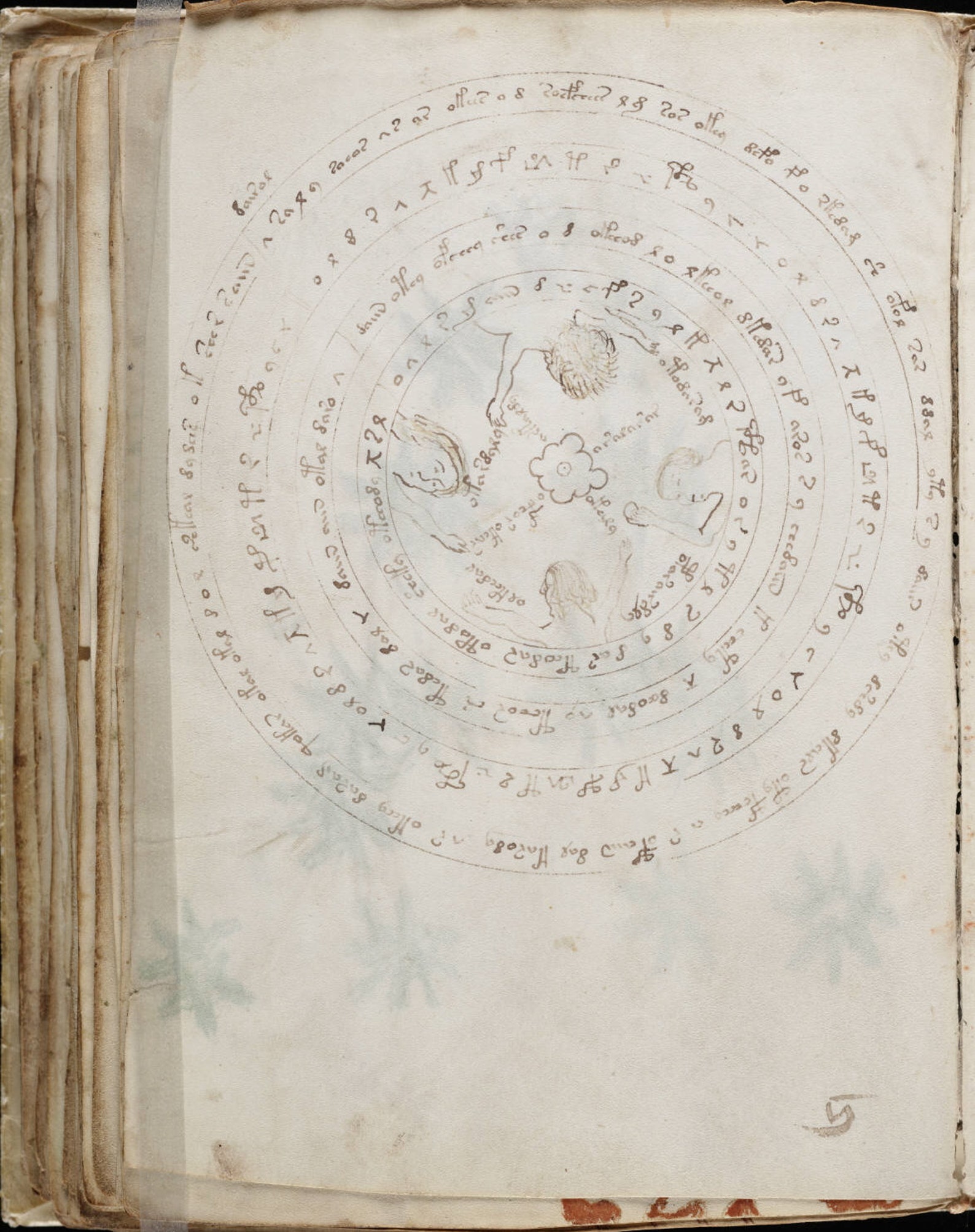 Mystery Book. Voynich Manuscript. Ebook Pdf - Etsy