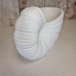 SHELL PLANT POT White Cement Coastal Beachy Home Decor Indoor Outdoor ...