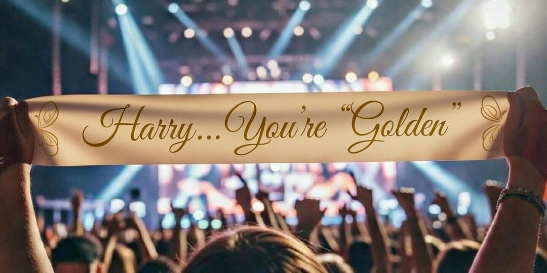 HARRY STYLES Inspired 1 Metre BANNER | Bespoke Personalised Satin ...