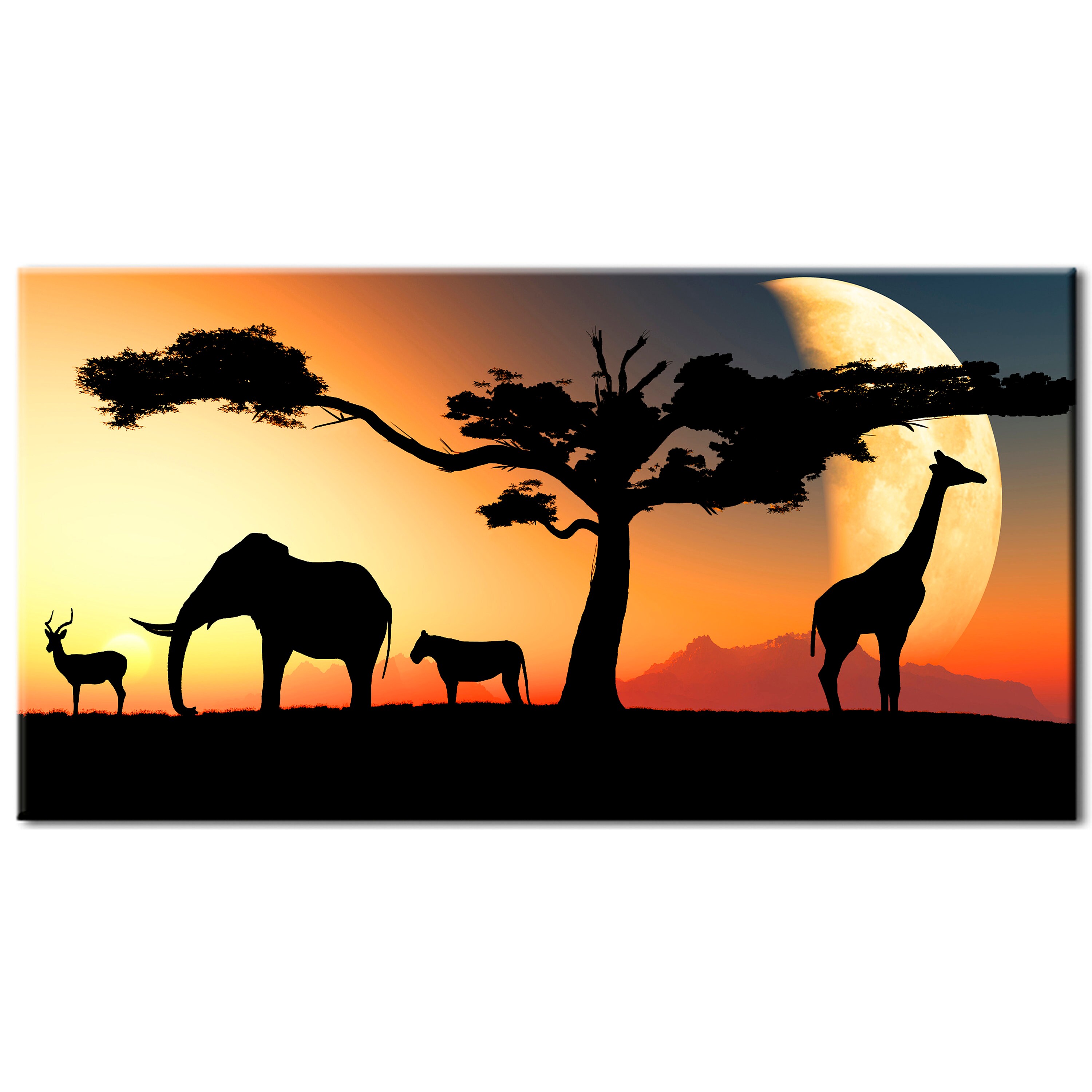 African Sunsets With Animals
