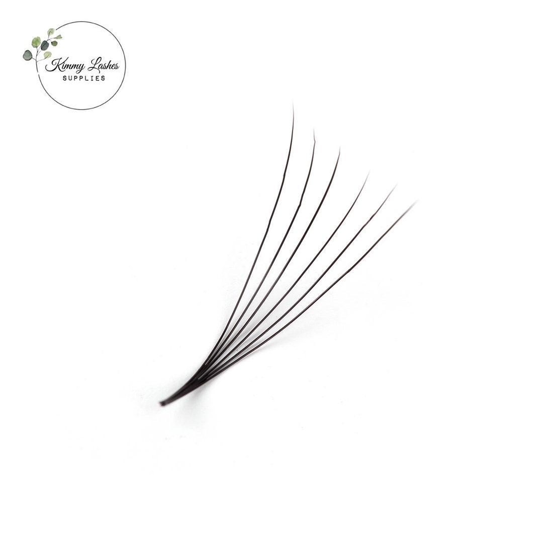 Loose Lash 6D 0.07 Fans 1000 Fans Promade Fans Eyelash Extension ...