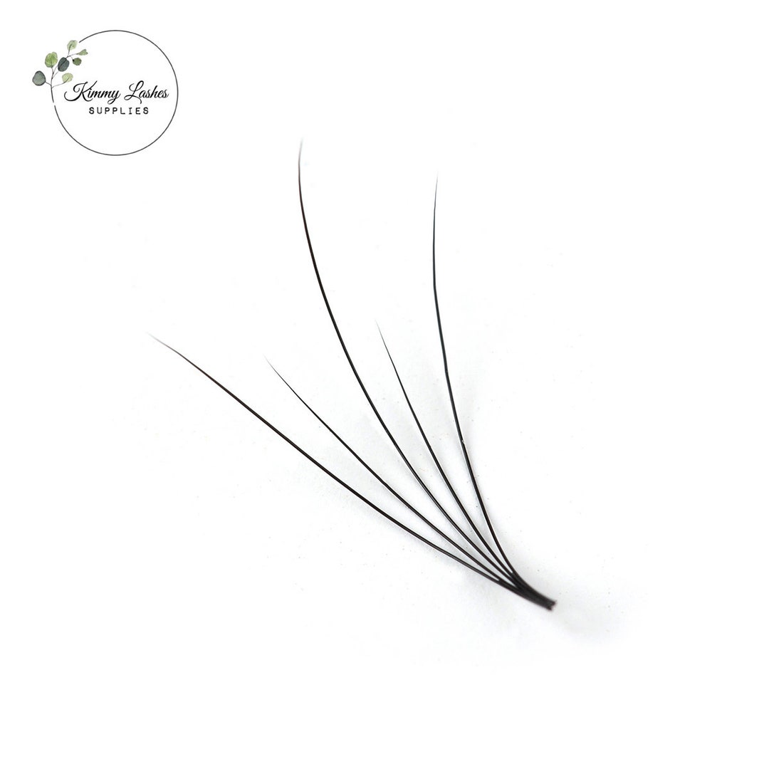 Camellia 5D Volume Lash Extension | Premade Fans Lash Tray | Handmade ...