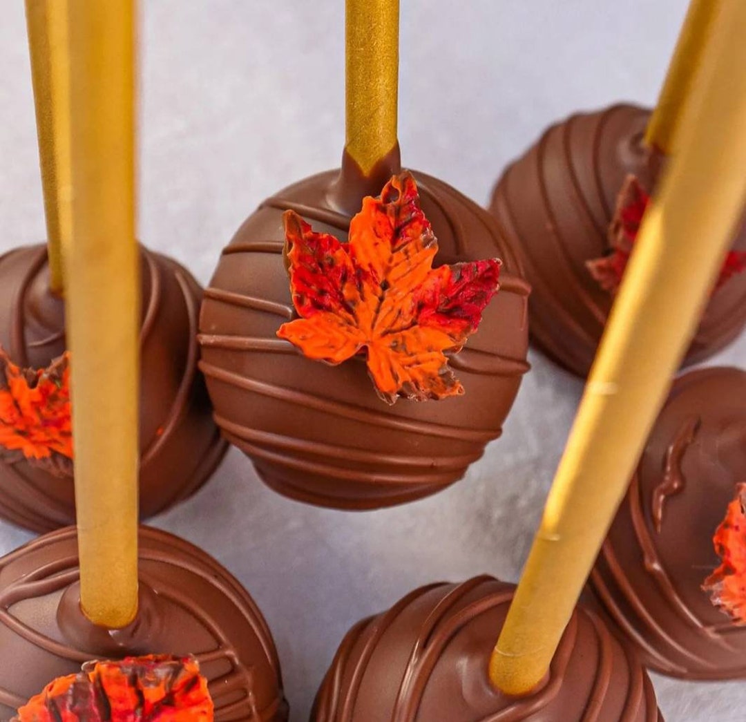 Gluten Free Fall Cake Pops Thanksgiving Table Fall Holiday Gift - Etsy