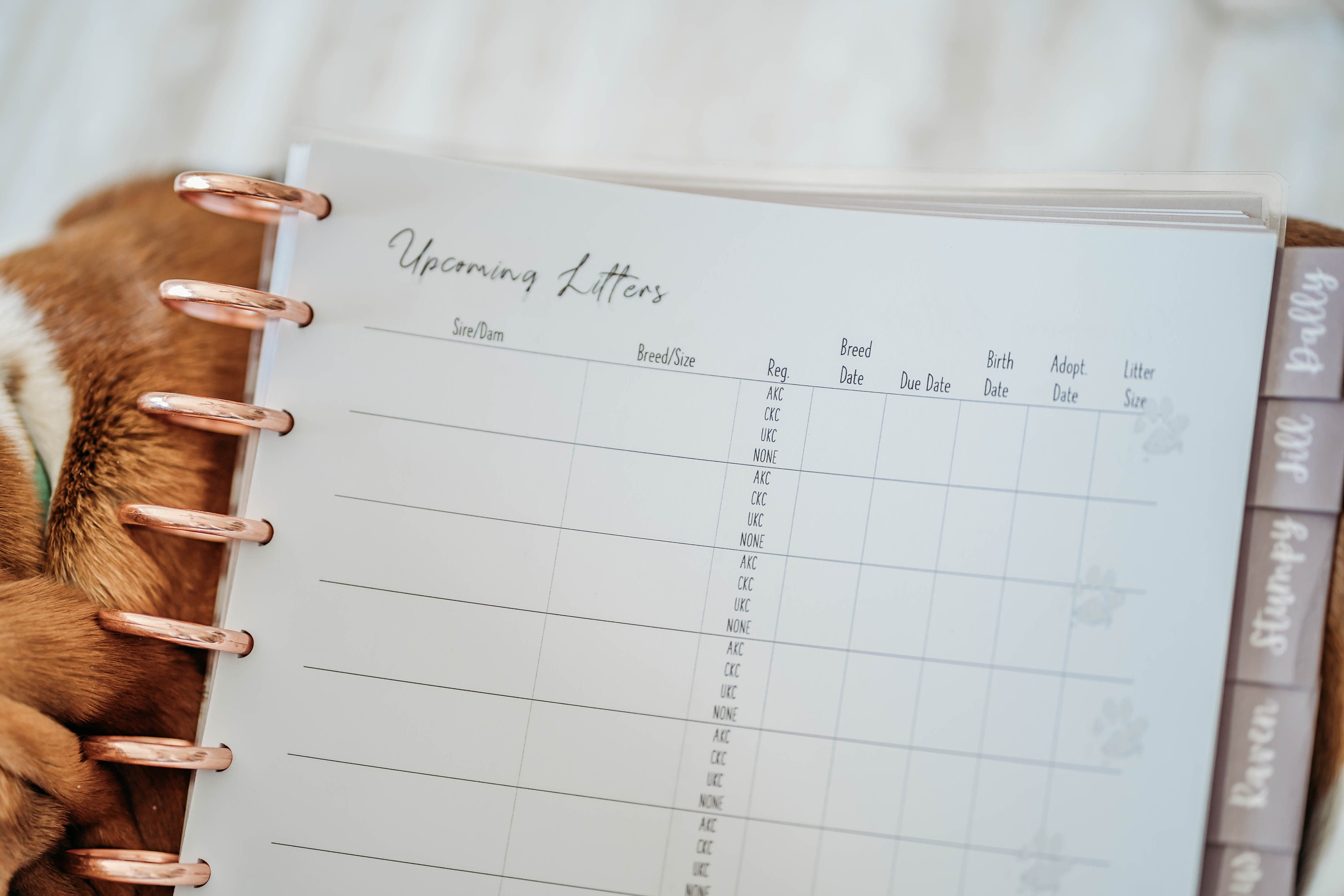 Canine KENNEL Health & Wellness Tracker Printable PDF Planner With ...