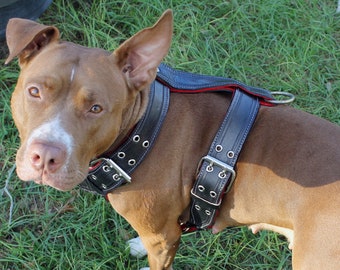 Biothane Dog Harness Police K9 Schutzhund Ipo - Etsy