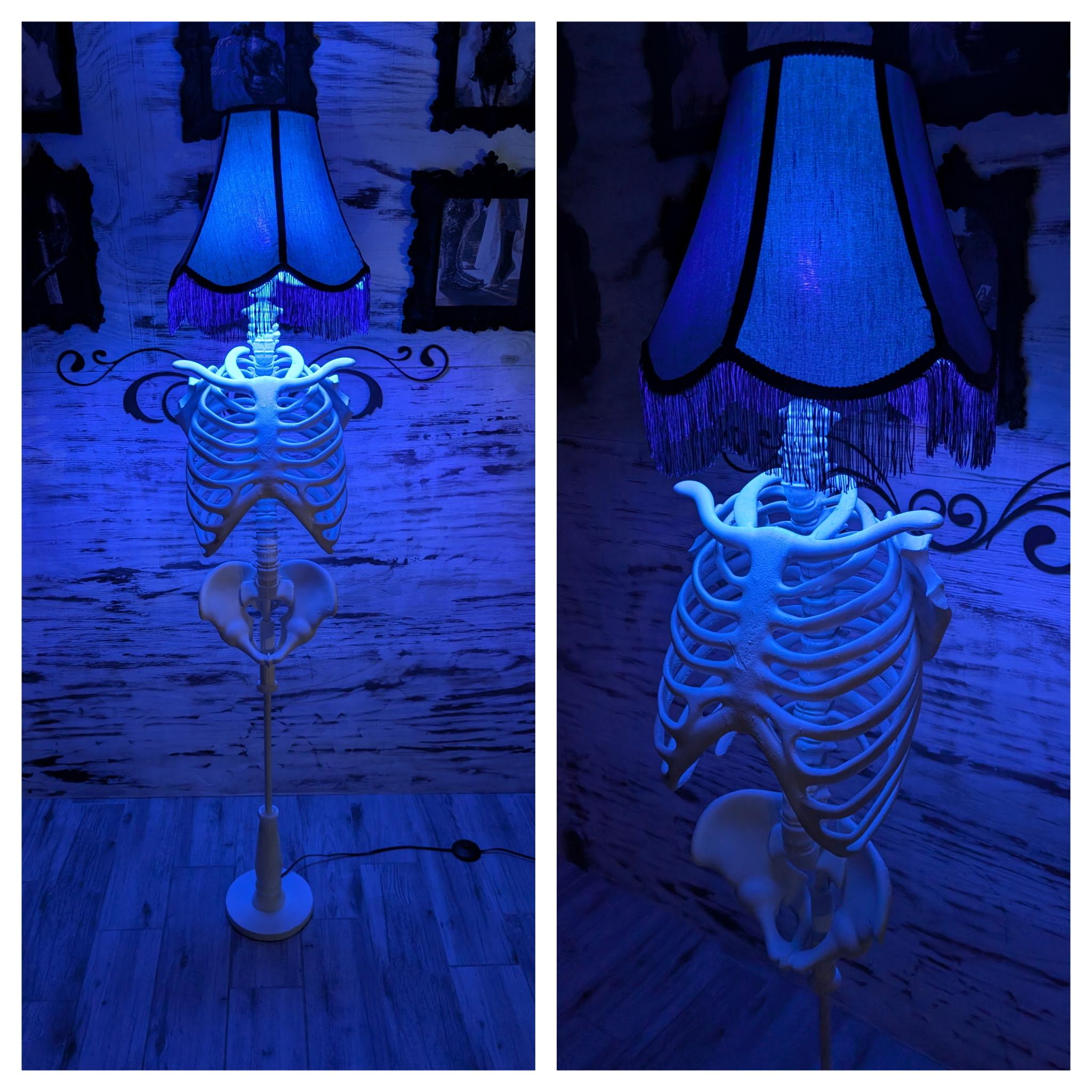 Gothic Skeleton Floor Lamp - Life-size-anatomically Accurate Lamp With ...