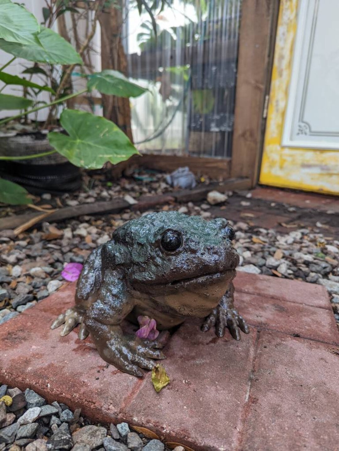Giant Realistic Toad - Etsy