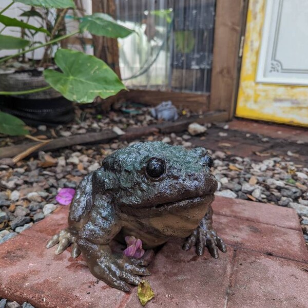 Realistic Toad - Etsy