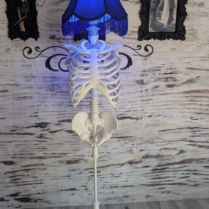 Gothic Skeleton Floor Lamp - Life-size-anatomically Accurate With ...