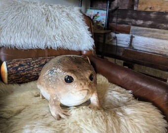 Desert Rain Frog Model Realistic Frog Rain Frog Figure Handpainted Rain ...