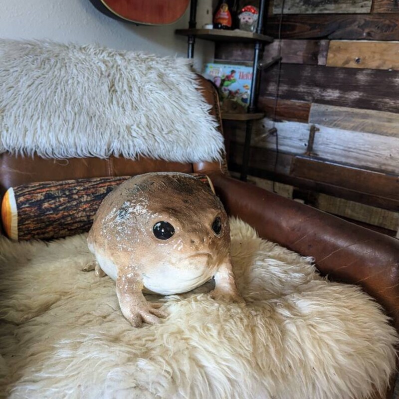 Real Frog - Etsy