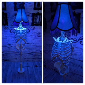 Gothic Skeleton Floor Lamp - Life-size-anatomically Accurate With ...