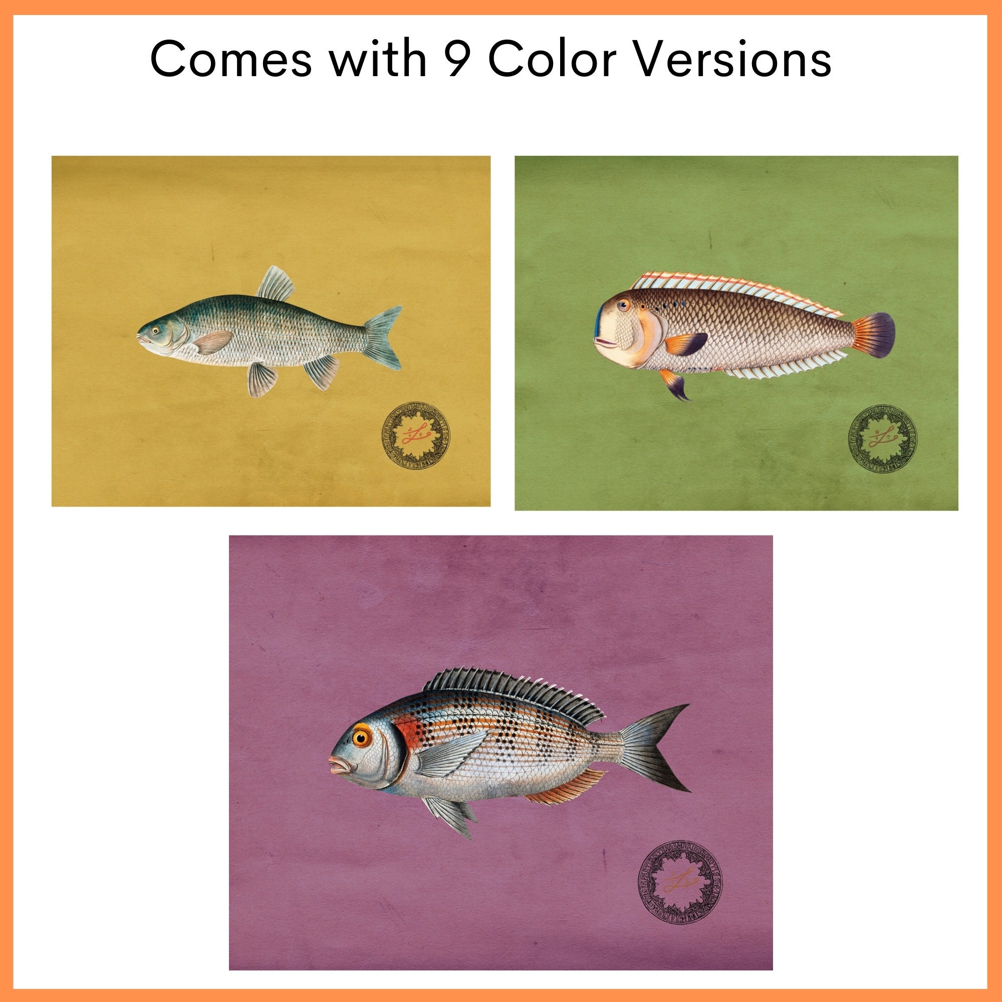 Bundle Fisch Druck Bundle Fisch Poster Bundle Fisch herunterladen Fisch ...