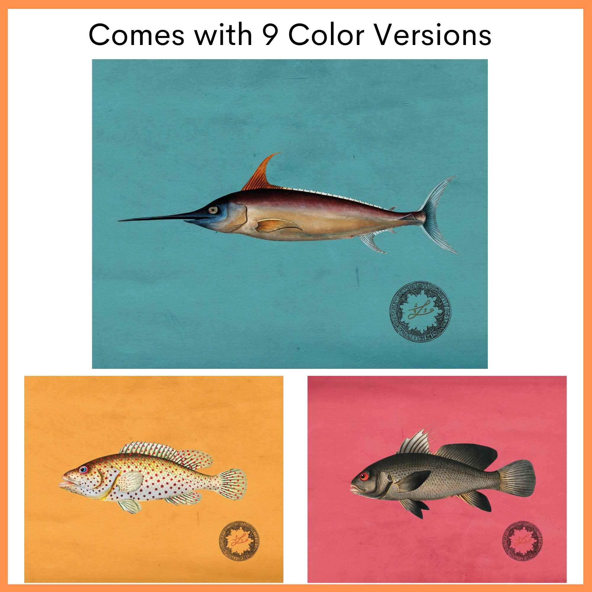 Bundle Fisch Druck Bundle Fisch Poster Bundle Fisch herunterladen Fisch ...