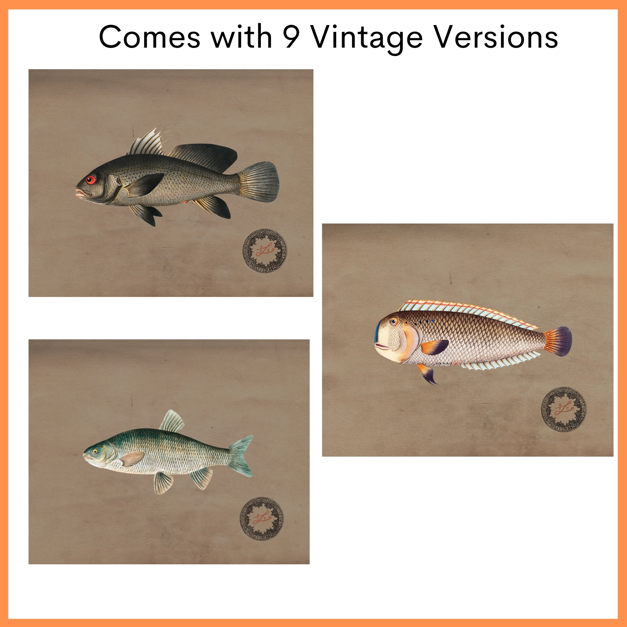 Bundle Fisch Druck Bundle Fisch Poster Bundle Fisch herunterladen Fisch ...