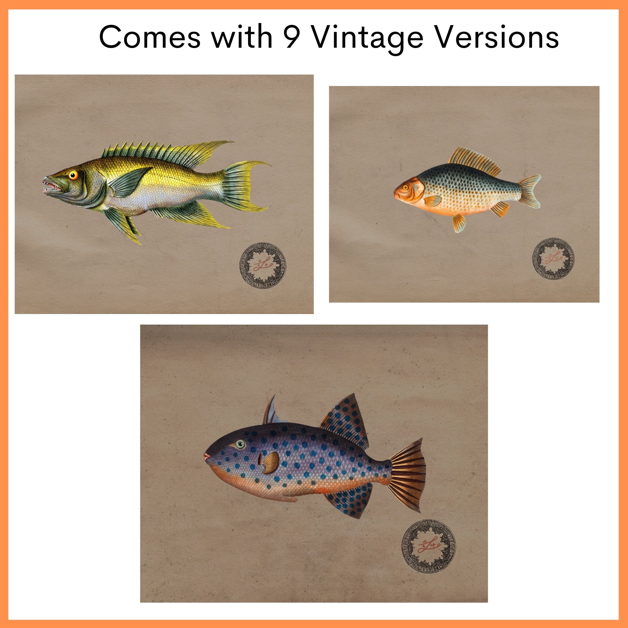 Bundle Fisch Druck Bundle Fisch Poster Bundle Fisch herunterladen Fisch ...