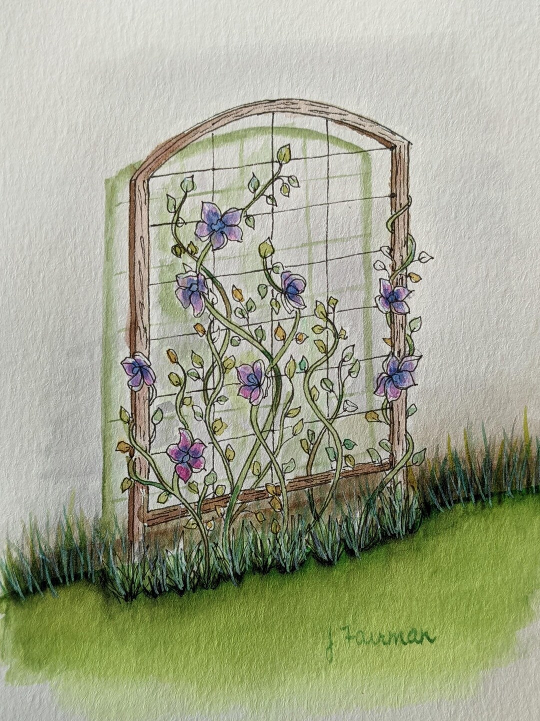 Garden Trellis Clematis Watercolor Painting and Ink Drawing - 5x7 With ...
