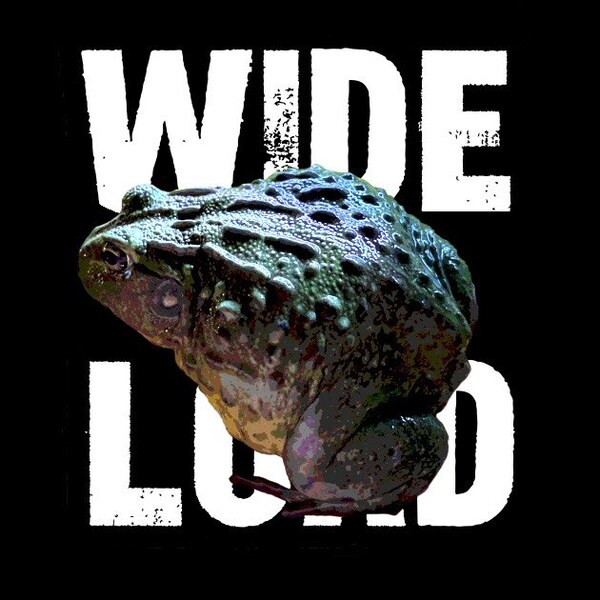 Wide Load Funny - Etsy