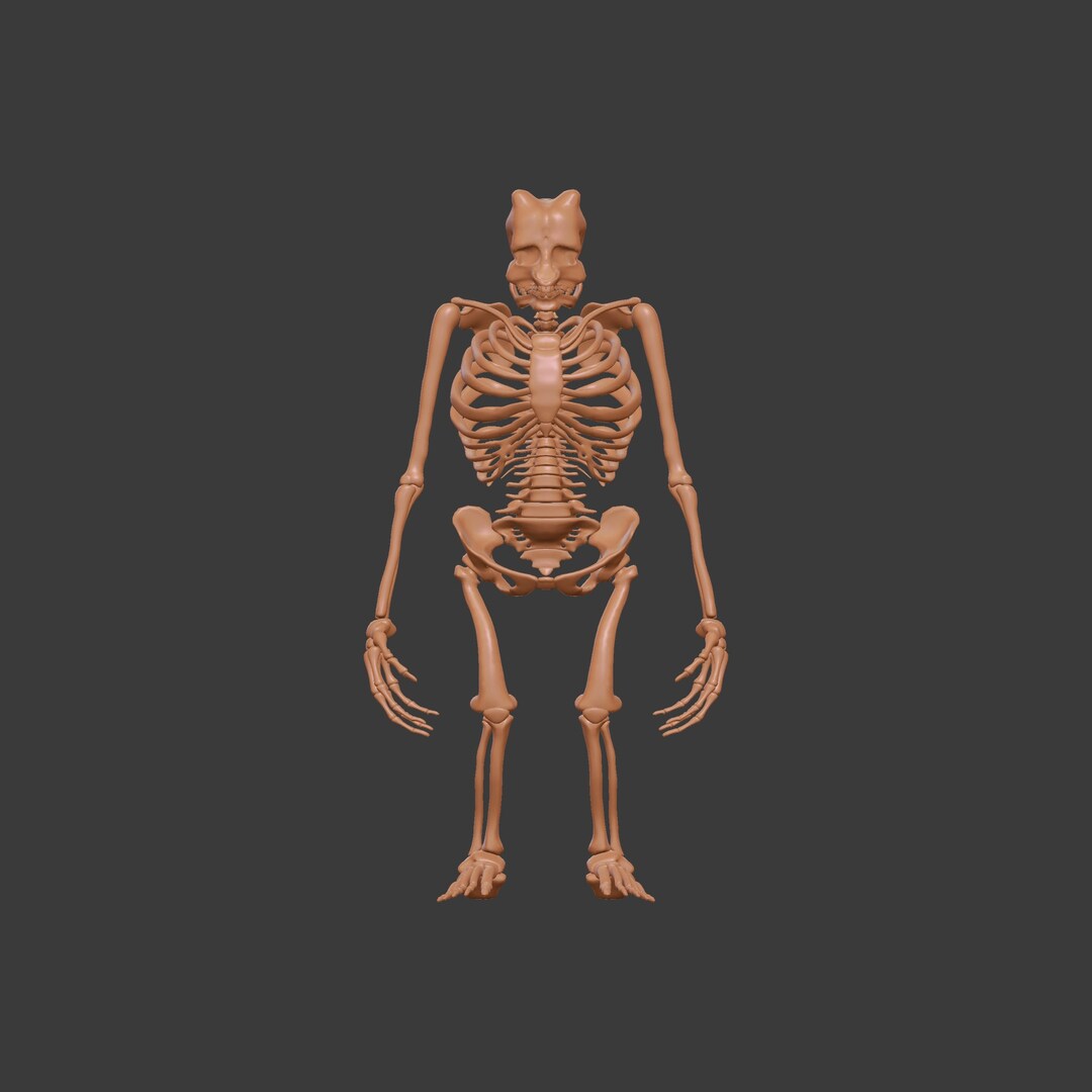Nomad Sculpt - Posable Monster Skeleton Base Mesh - 3D Object ...